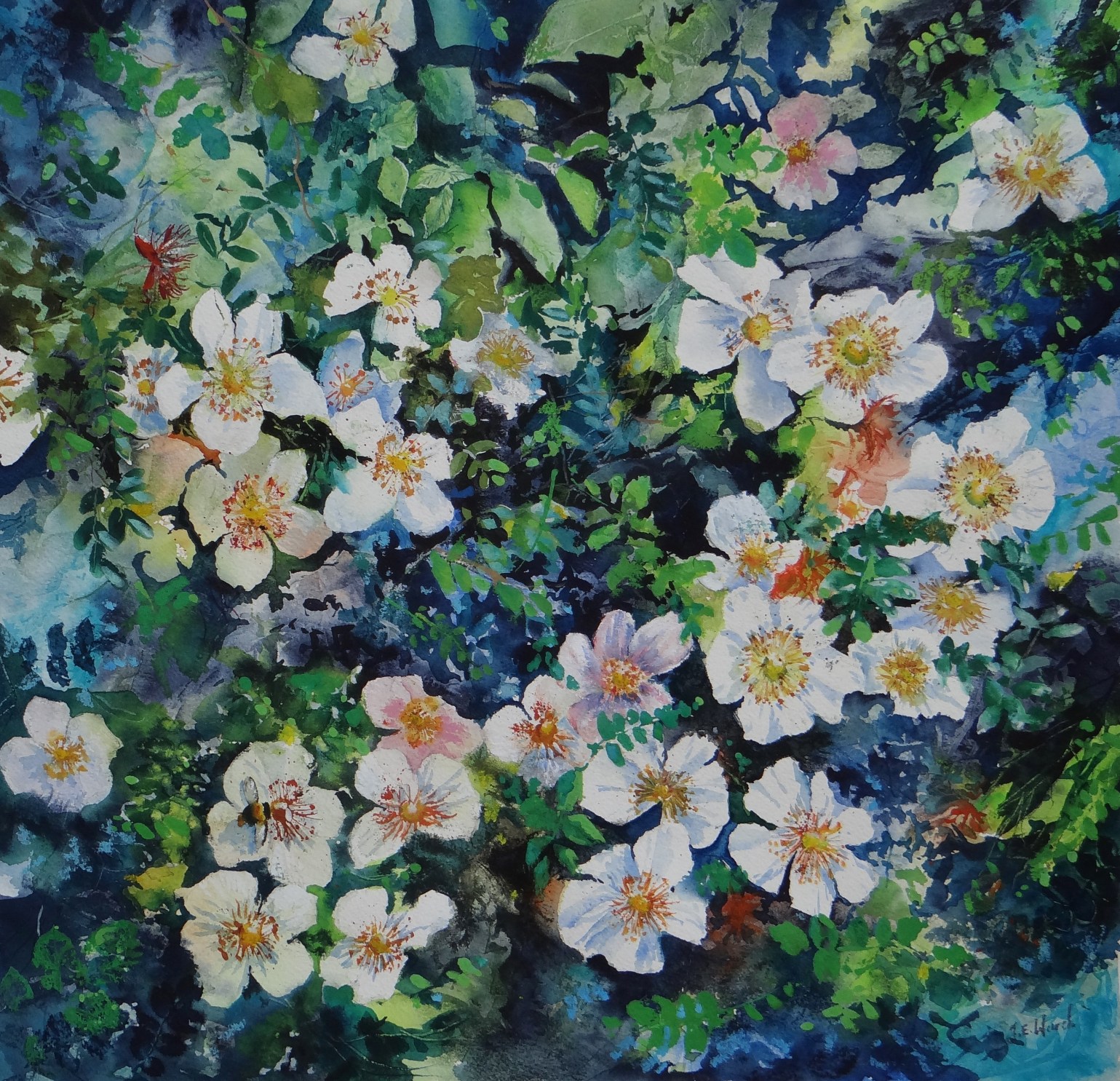 Original Paintings For Sale – Jane Ward