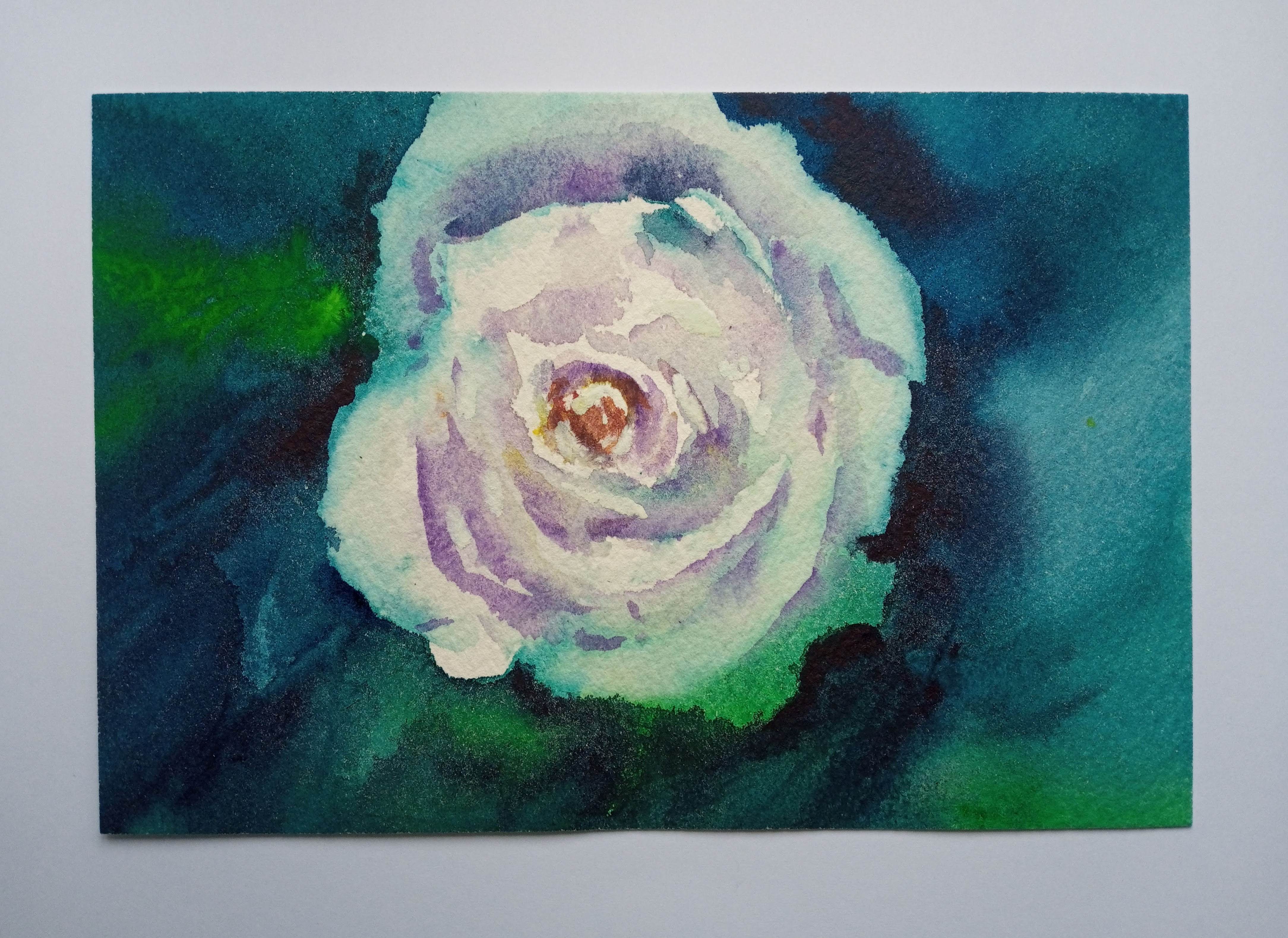 Little Gems – Jane Ward
