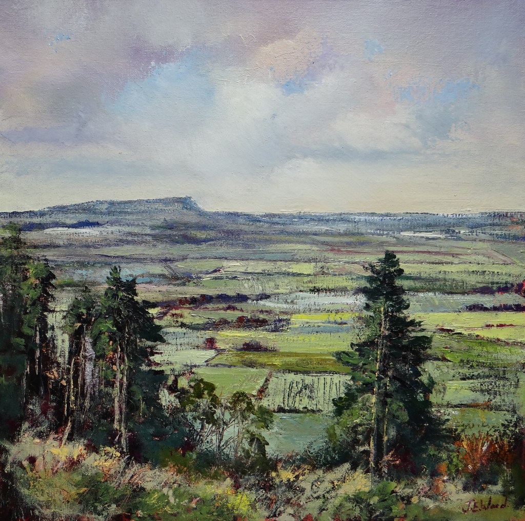 Original Paintings For Sale – Jane Ward