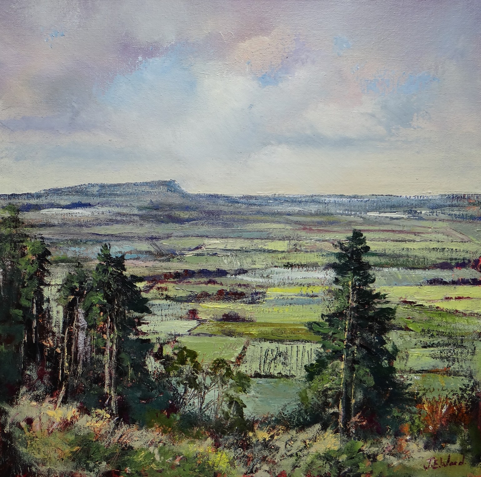 Original Paintings For Sale – Jane Ward