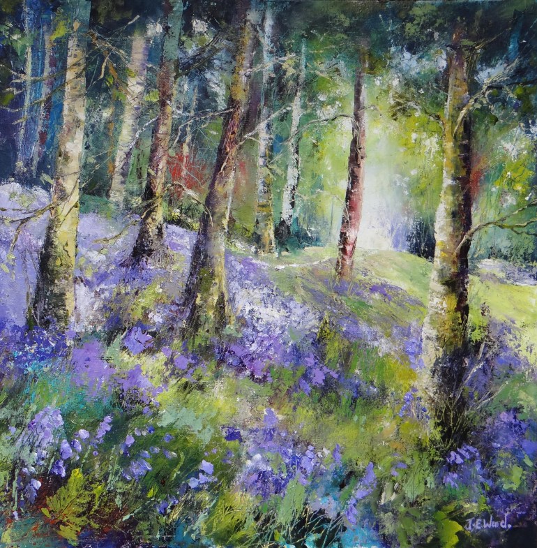 Bluebell Walk – Jane Ward
