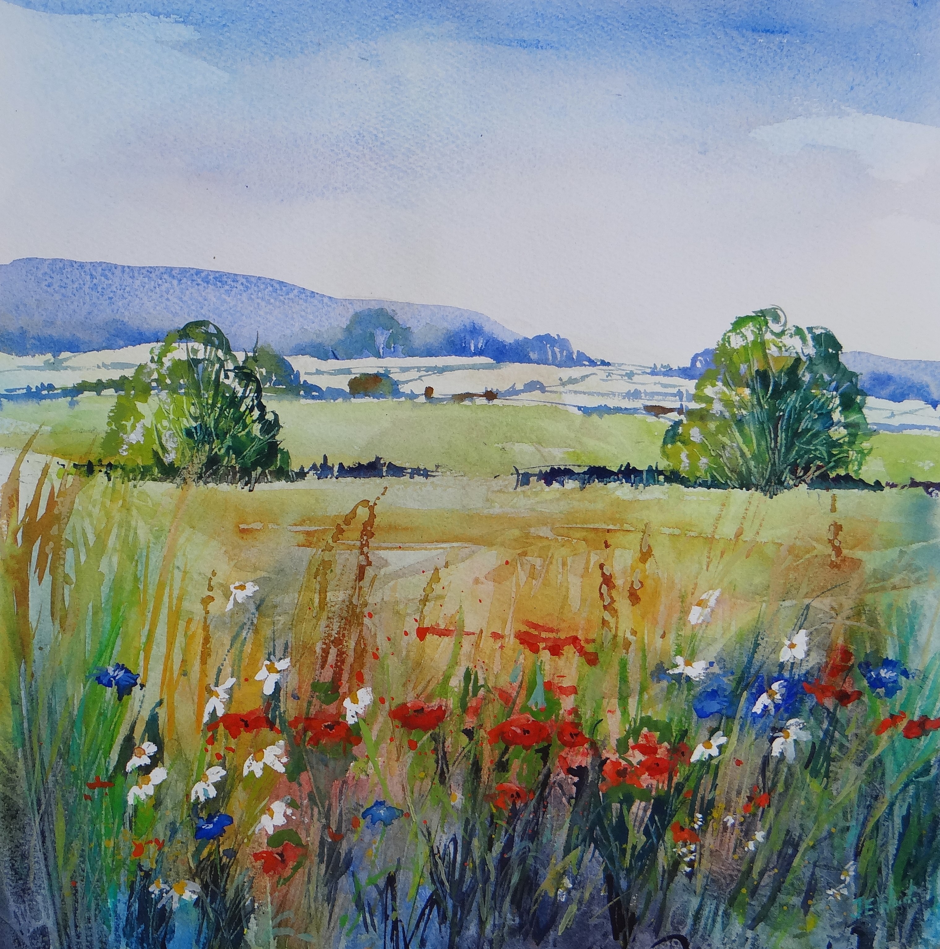 Wild Flowers Watercolour Tutorial – Jane Ward Artist