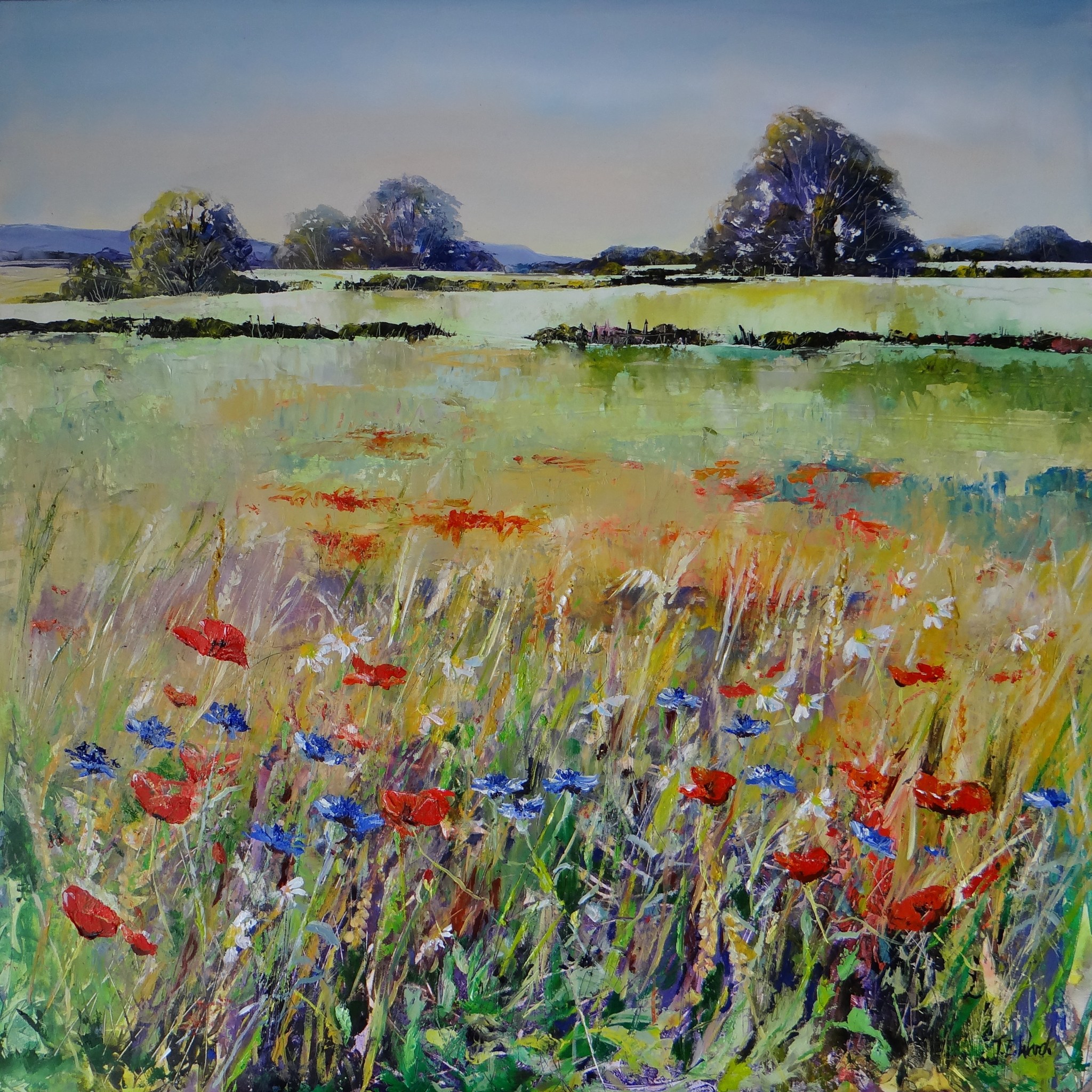 Prints – Jane Ward Artist