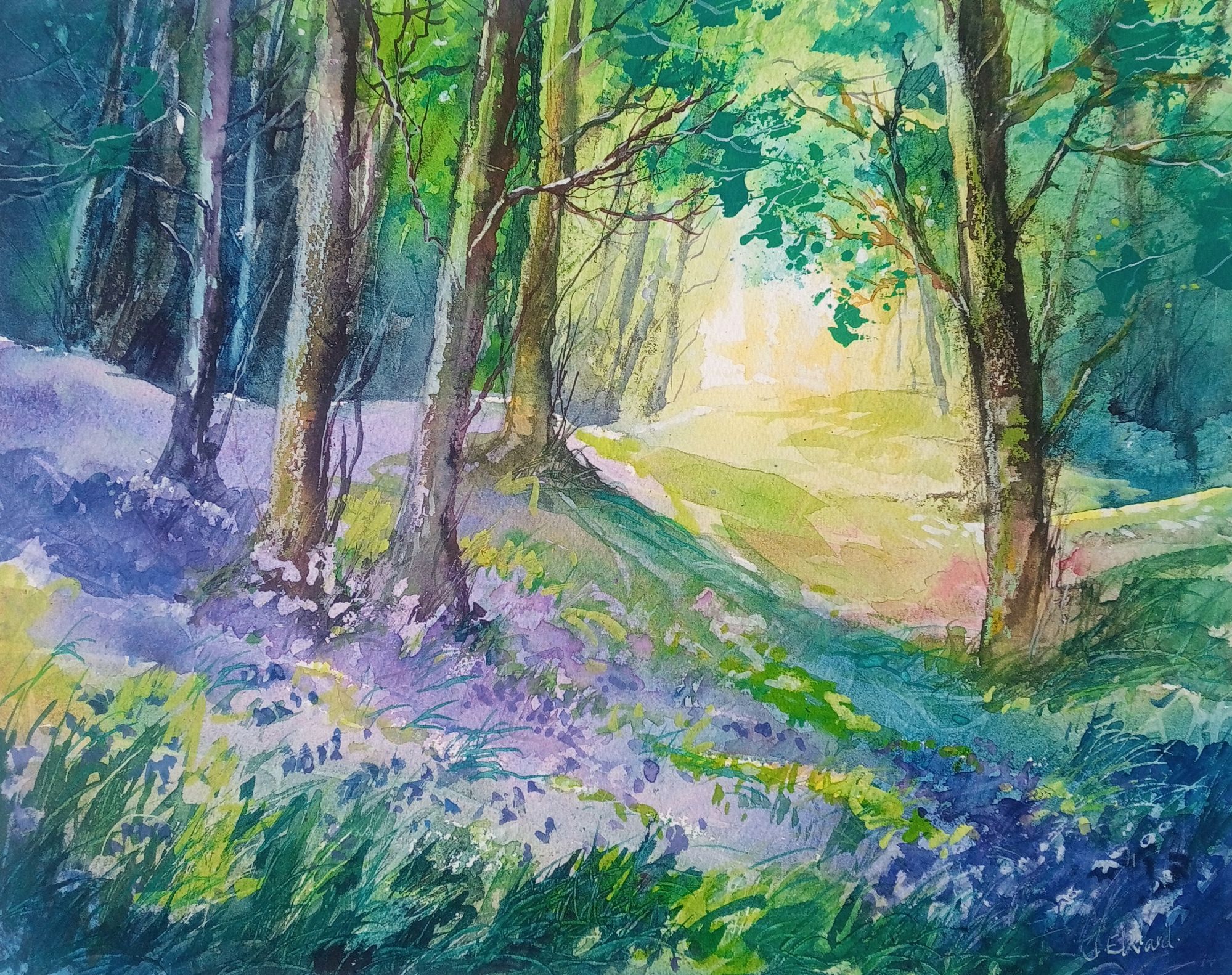 Bluebell Glade, Thirlmere Original painting – Jane Ward