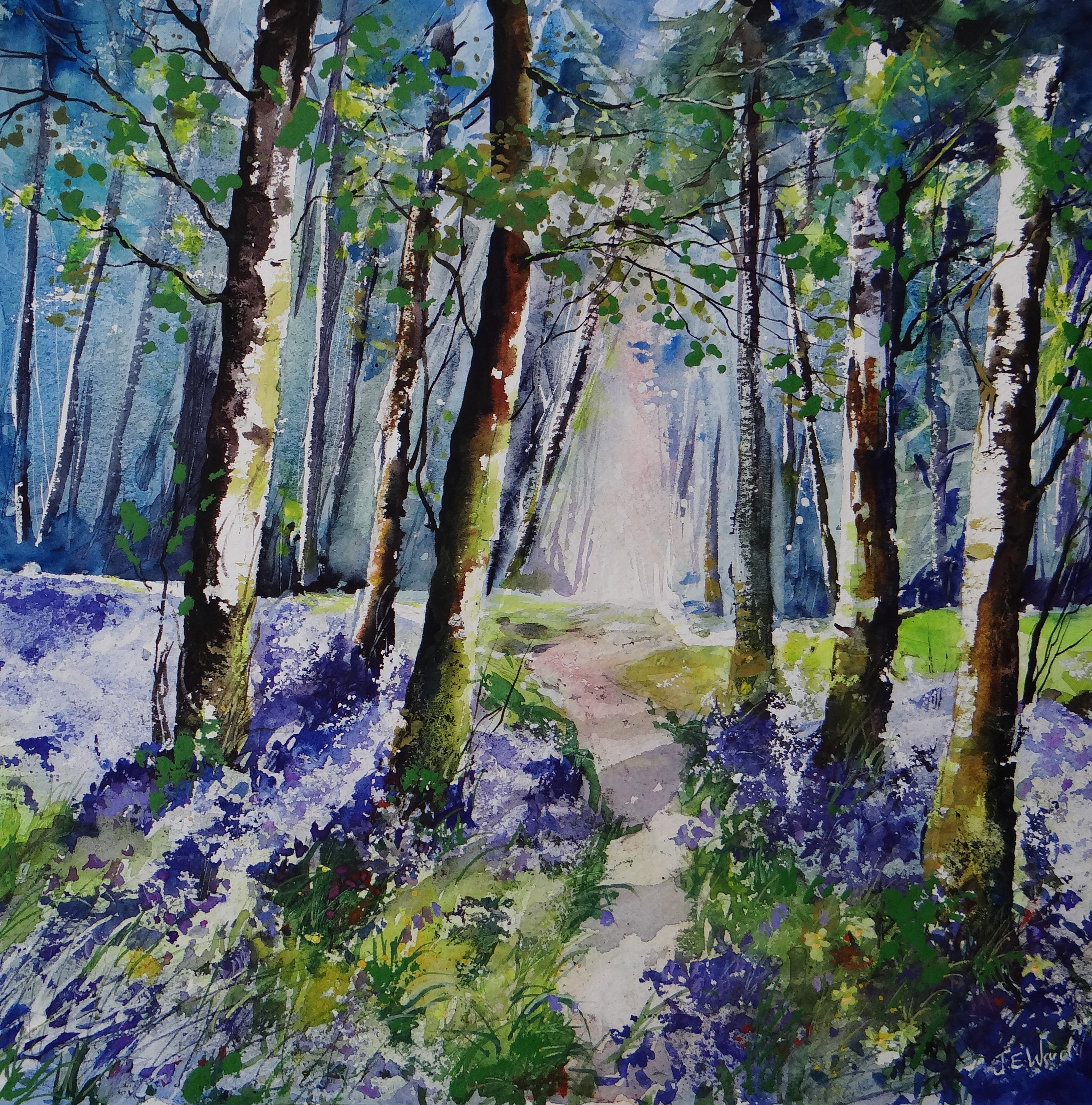 Bluebell Watercolour Painting – Jane Ward Artist