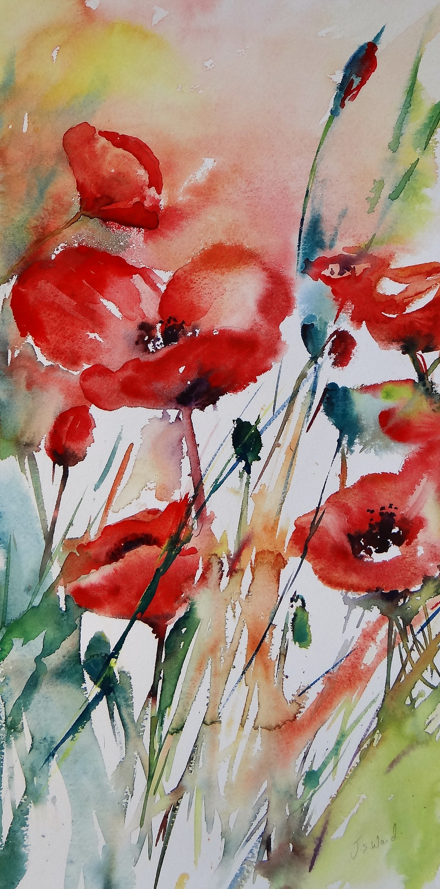 Poppies Watercolour Painting – Jane Ward Artist
