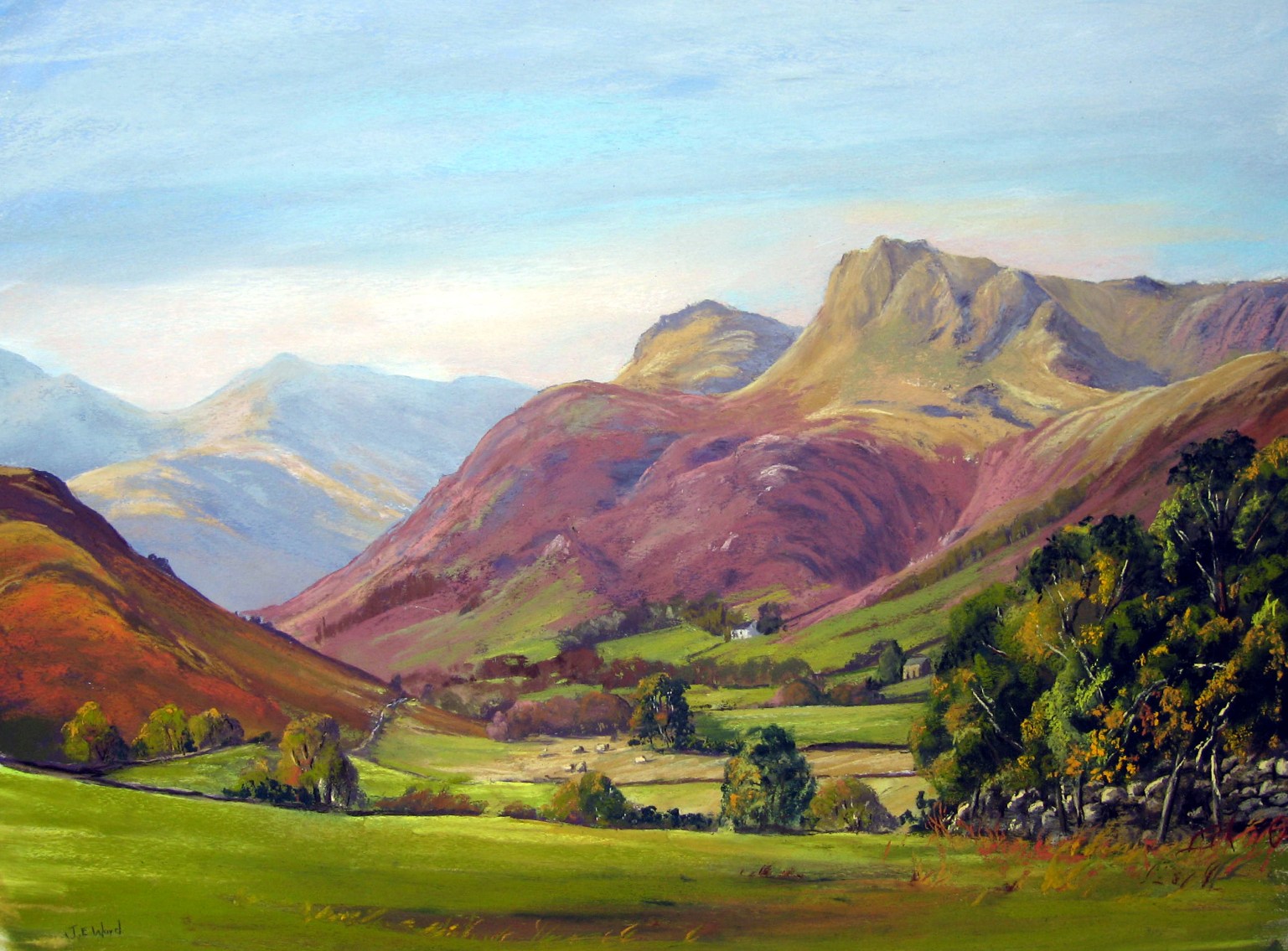 Prints – Jane Ward