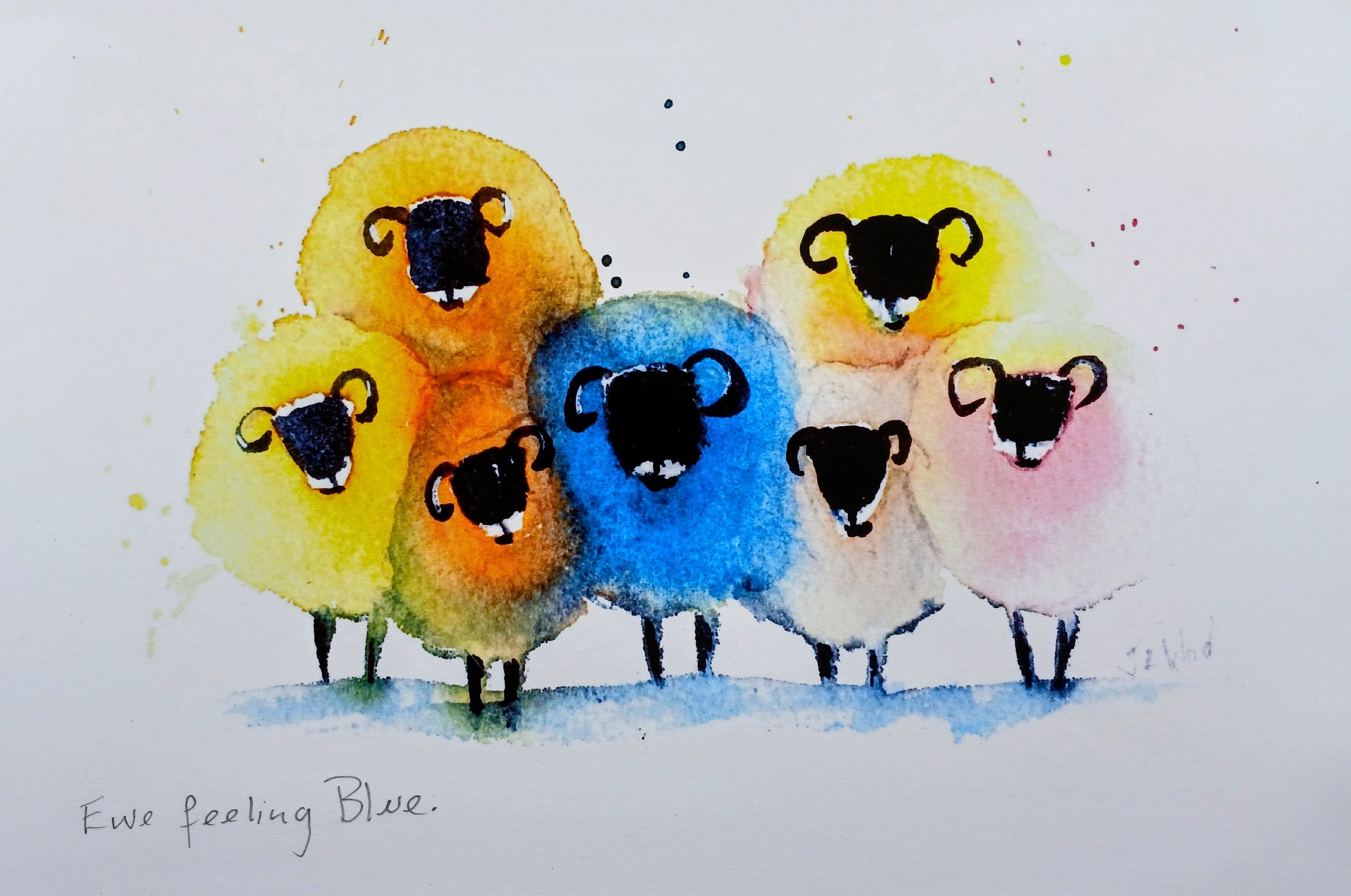 Sheep Watercolours, Print and Cards – Jane Ward Artist