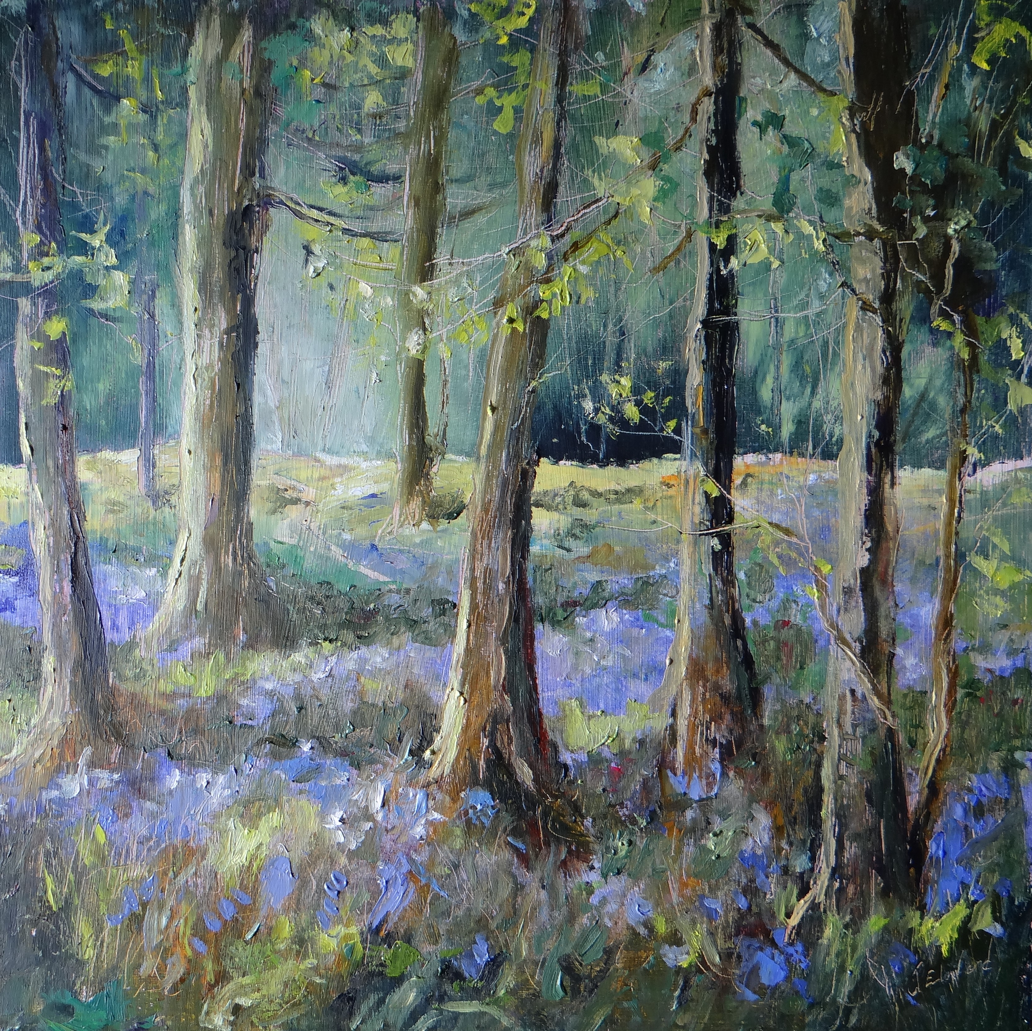 Bluebell Glade Oil Painting. – Jane Ward Artist